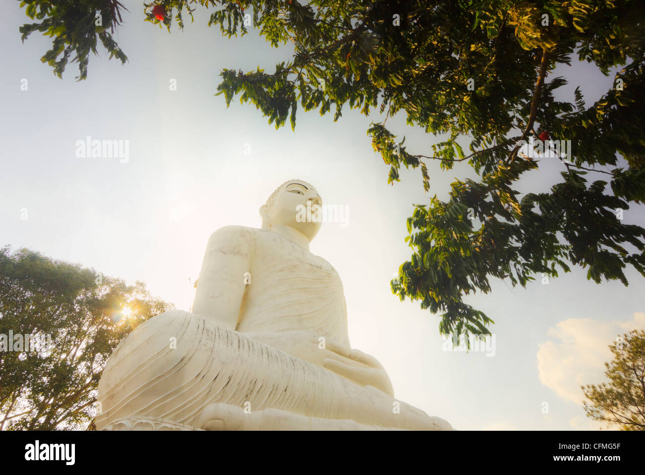 The large 27m Buddha statue at Sri Maha Bodhi Viharaya temple on ...