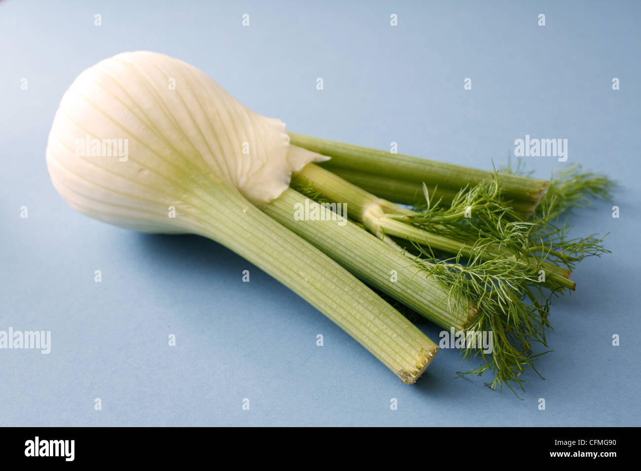 Bunch Of Fennel High Resolution Stock Photography and Images - Alamy