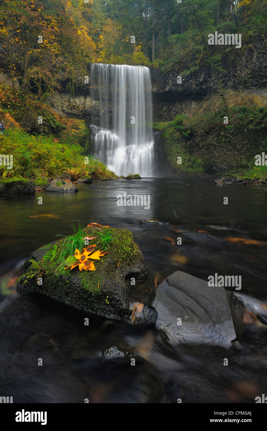 USA, Oregon, Marion County, View of Lower South Falls Stock Photo - Alamy