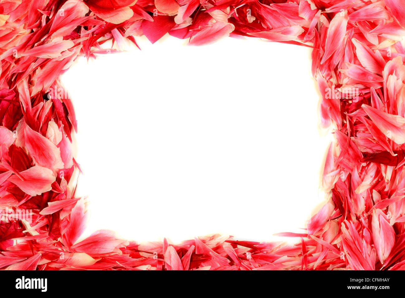 frame made of red rose petals Stock Photo - Alamy