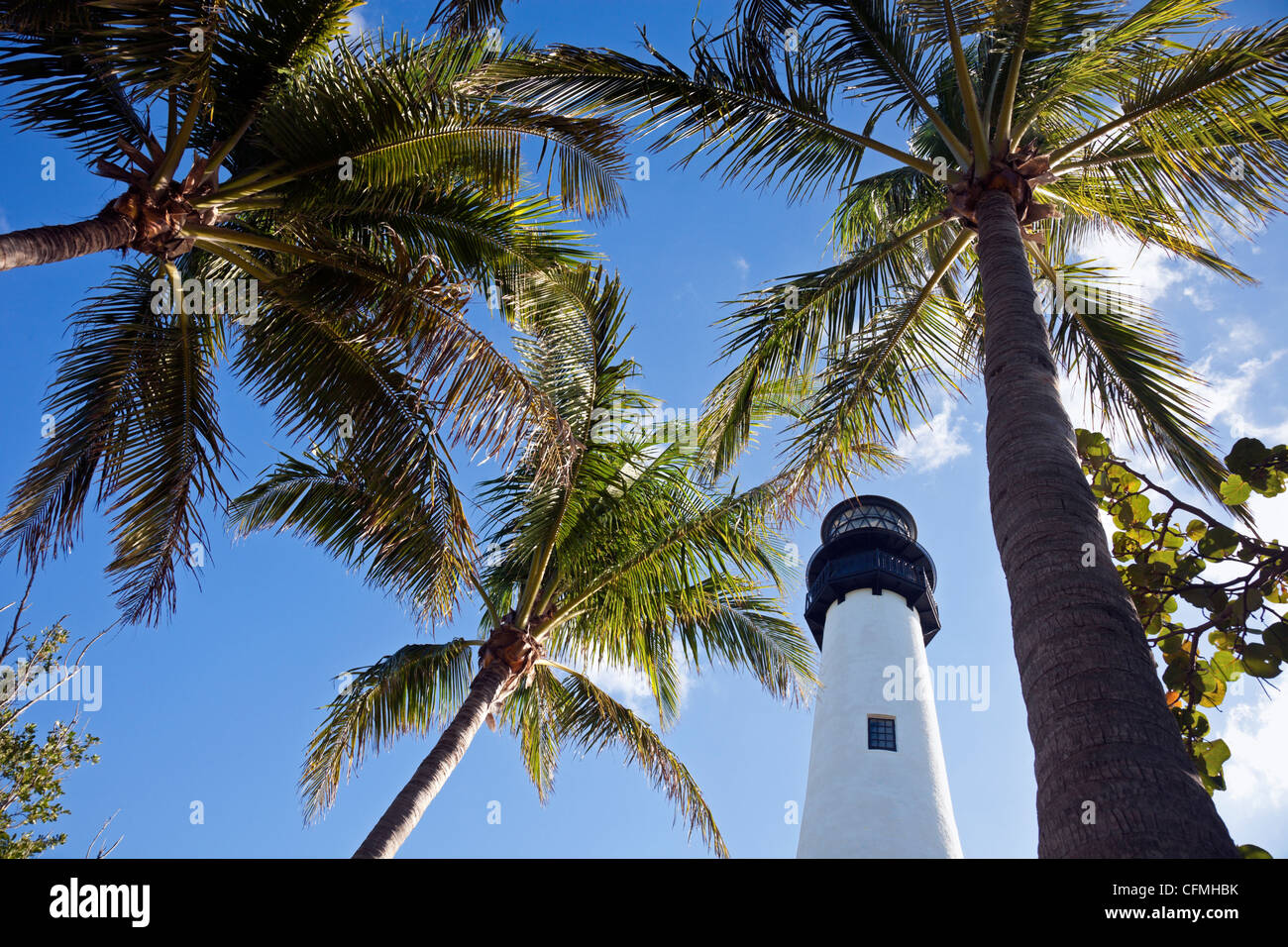 Lighthouse with palm trees hi-res stock photography and images - Alamy