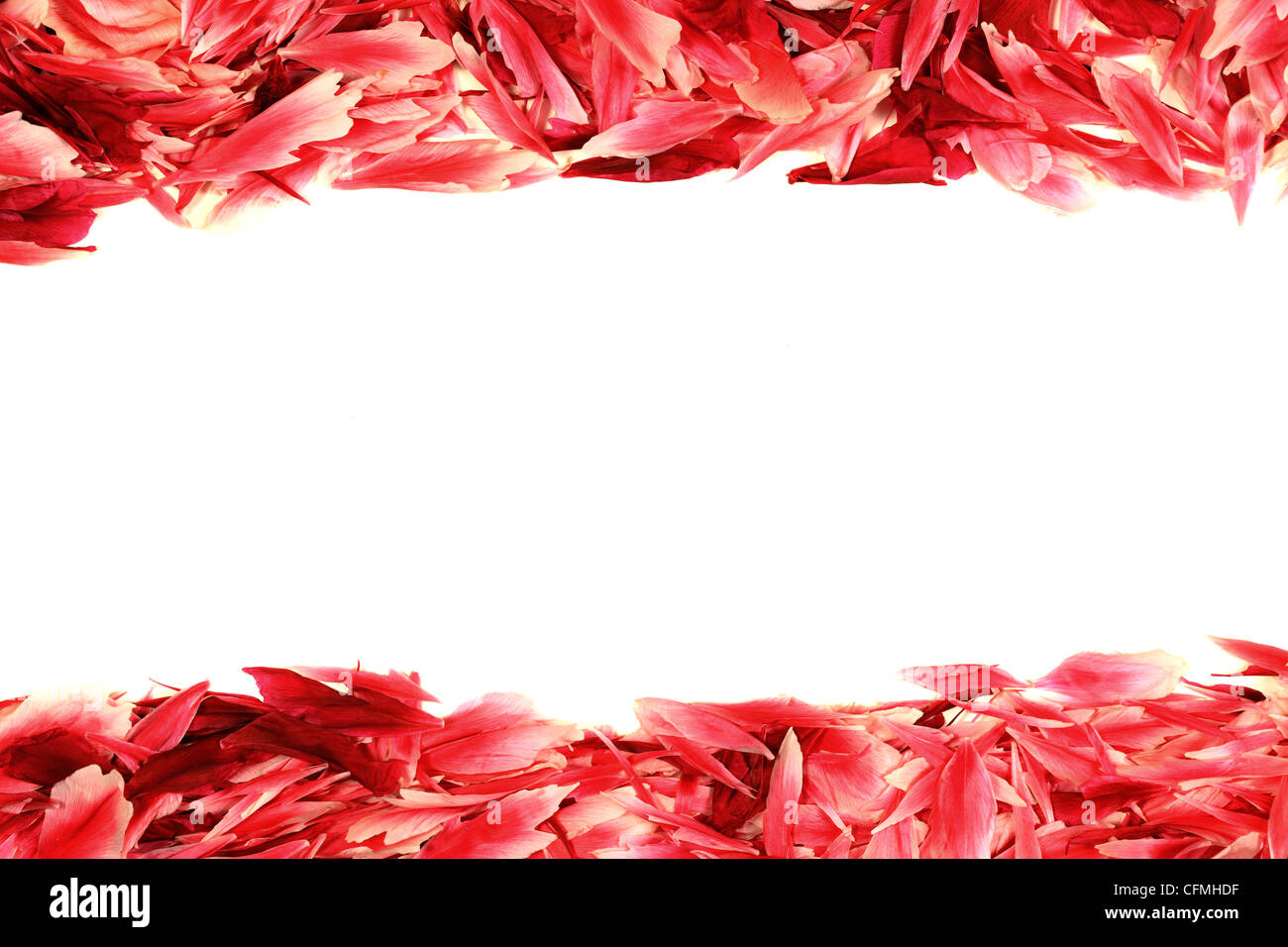 frame made of red rose petals Stock Photo - Alamy