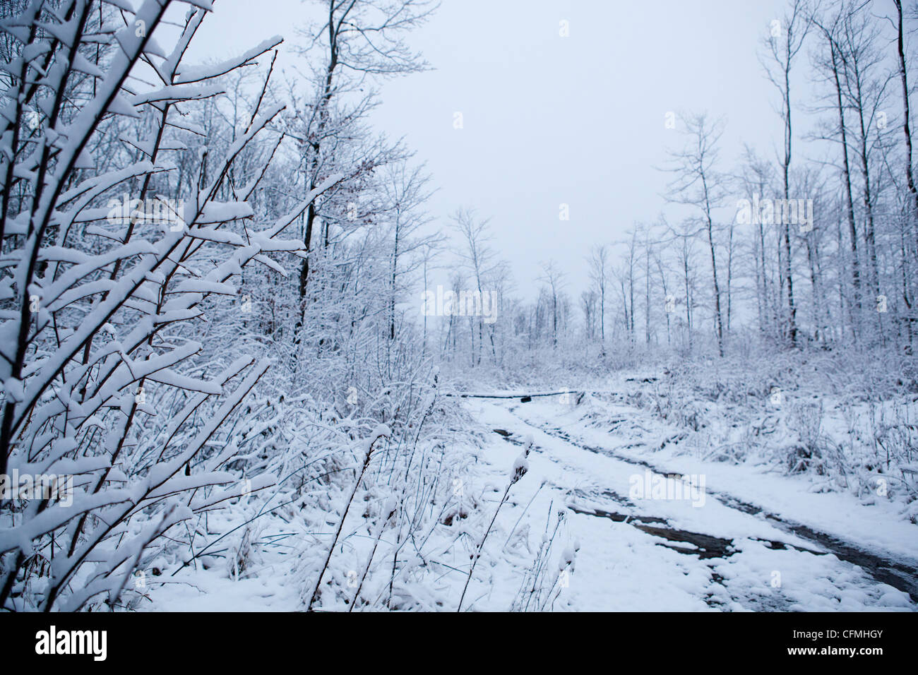 A Canadian winter scene Stock Photo - Alamy