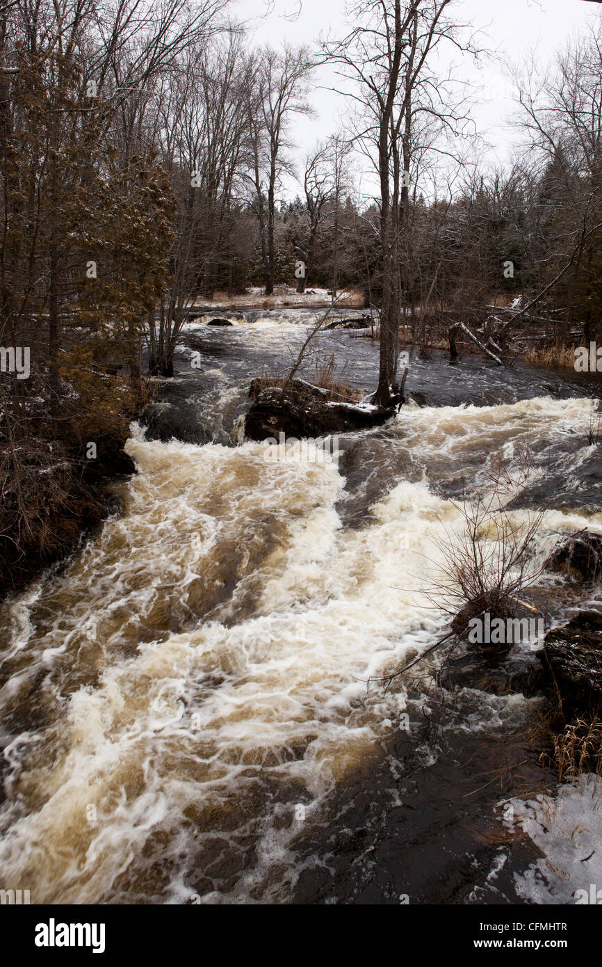A rushing river flowing through the trees, in Ontario Canada, in late ...