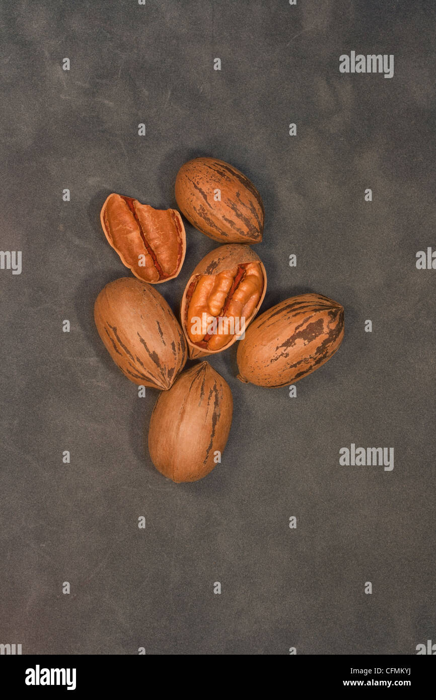 Pecan nut shell open hi-res stock photography and images - Alamy