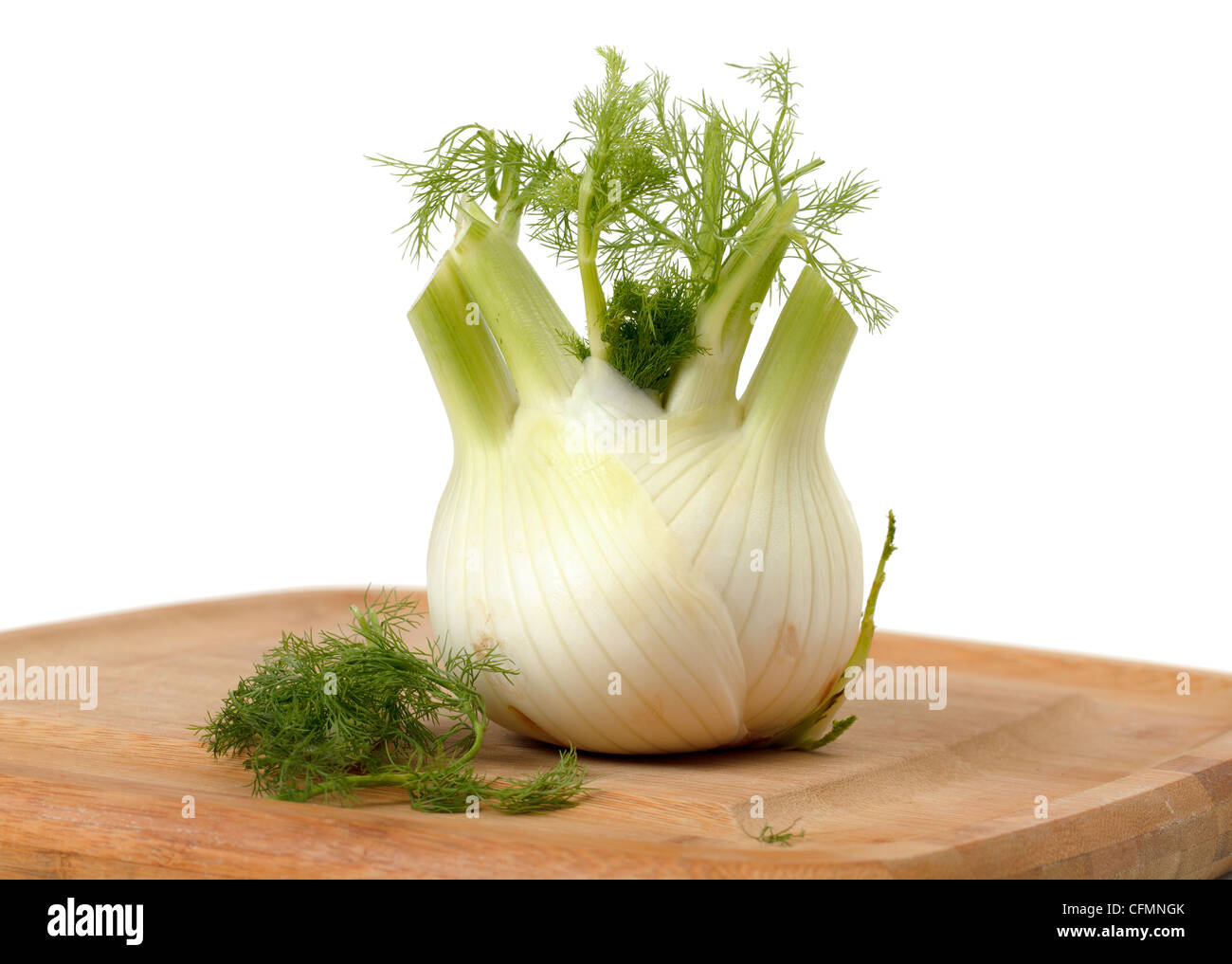 Fresh fennel on the white background Stock Photo - Alamy