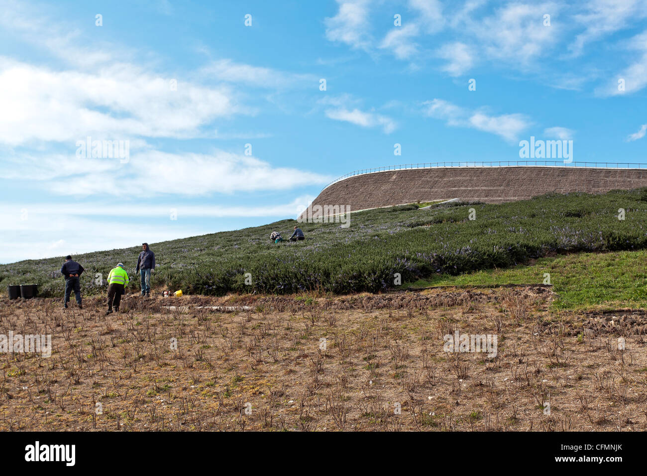 Vulcano Buono, Good Volcano, Mall with roof garden in Nola, Renzo Piano ...
