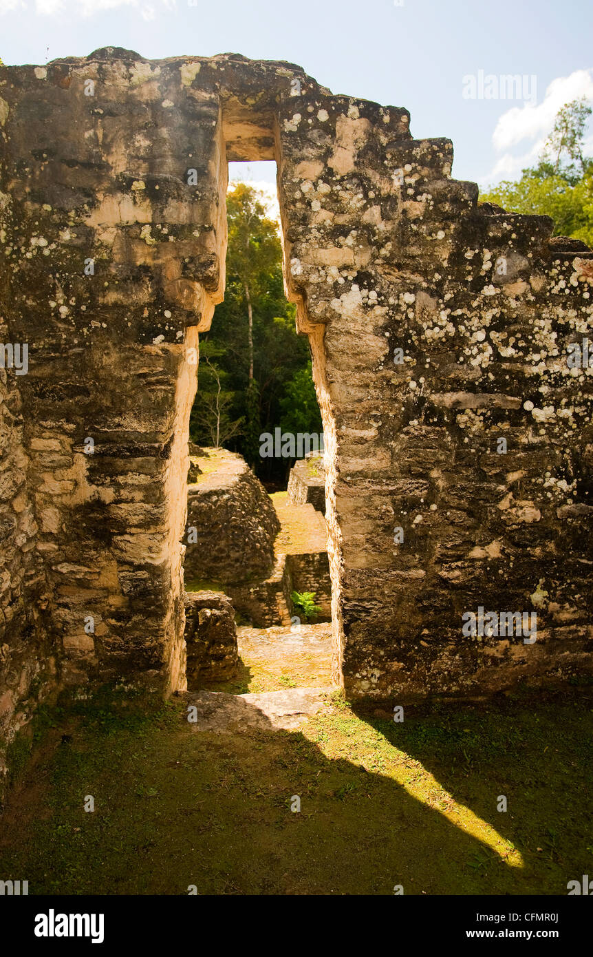 A Mayan arch at the Maya site of Caracol in Belize Stock Photo - Alamy