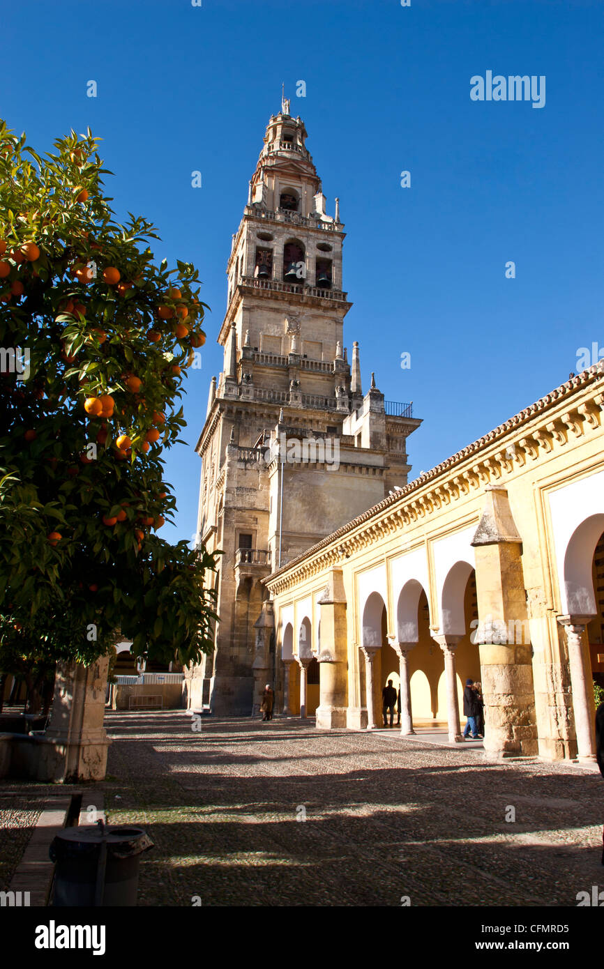 Cordova, Cordoba, Spain, bell tower of the cathedral of Cordoba, the ...
