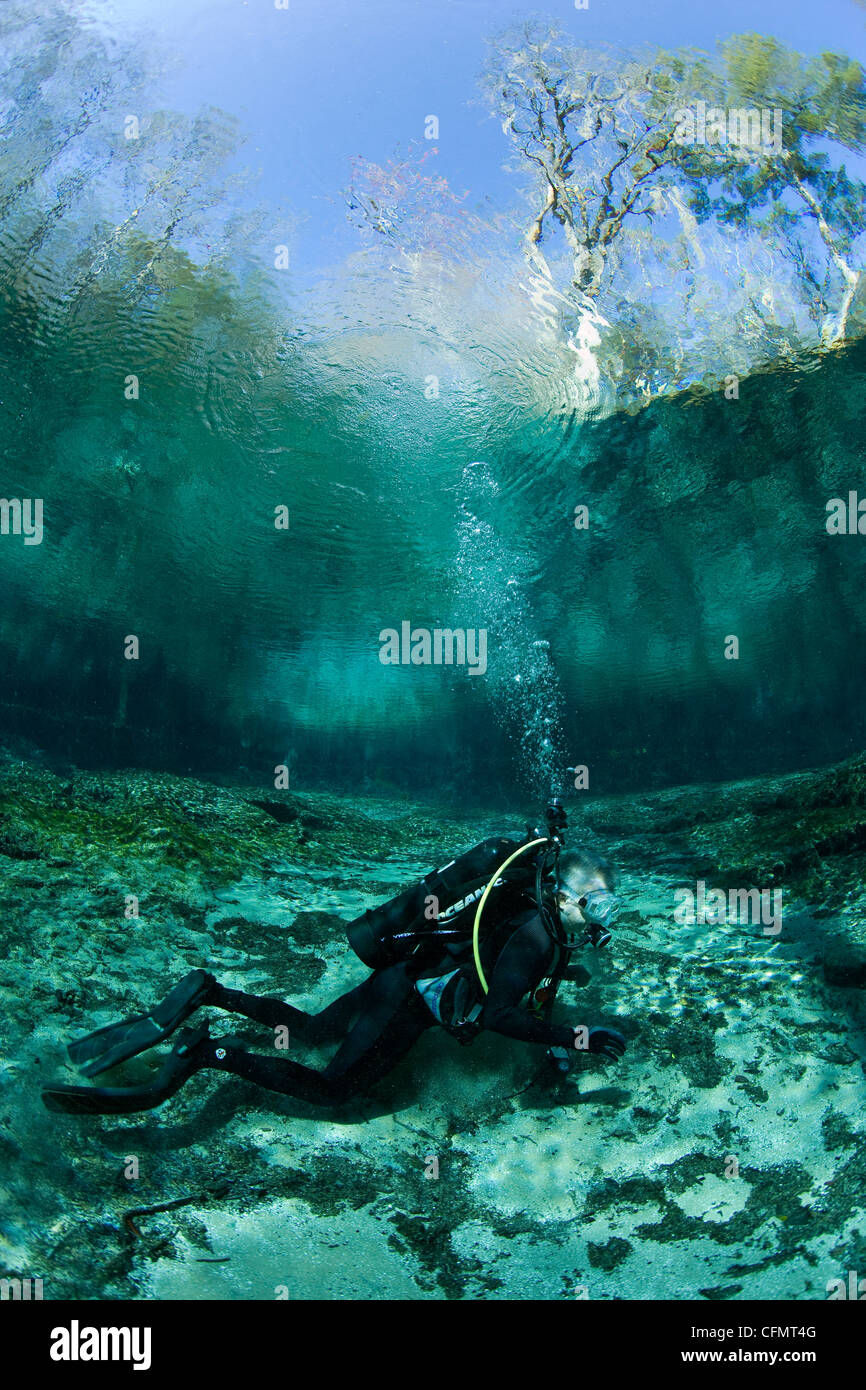 Devils Eye Spring With Diver High Resolution Stock Photography and ...