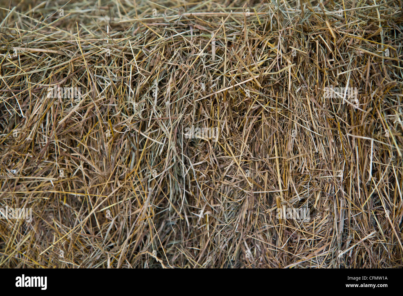 farm hay background texture Stock Photo - Alamy