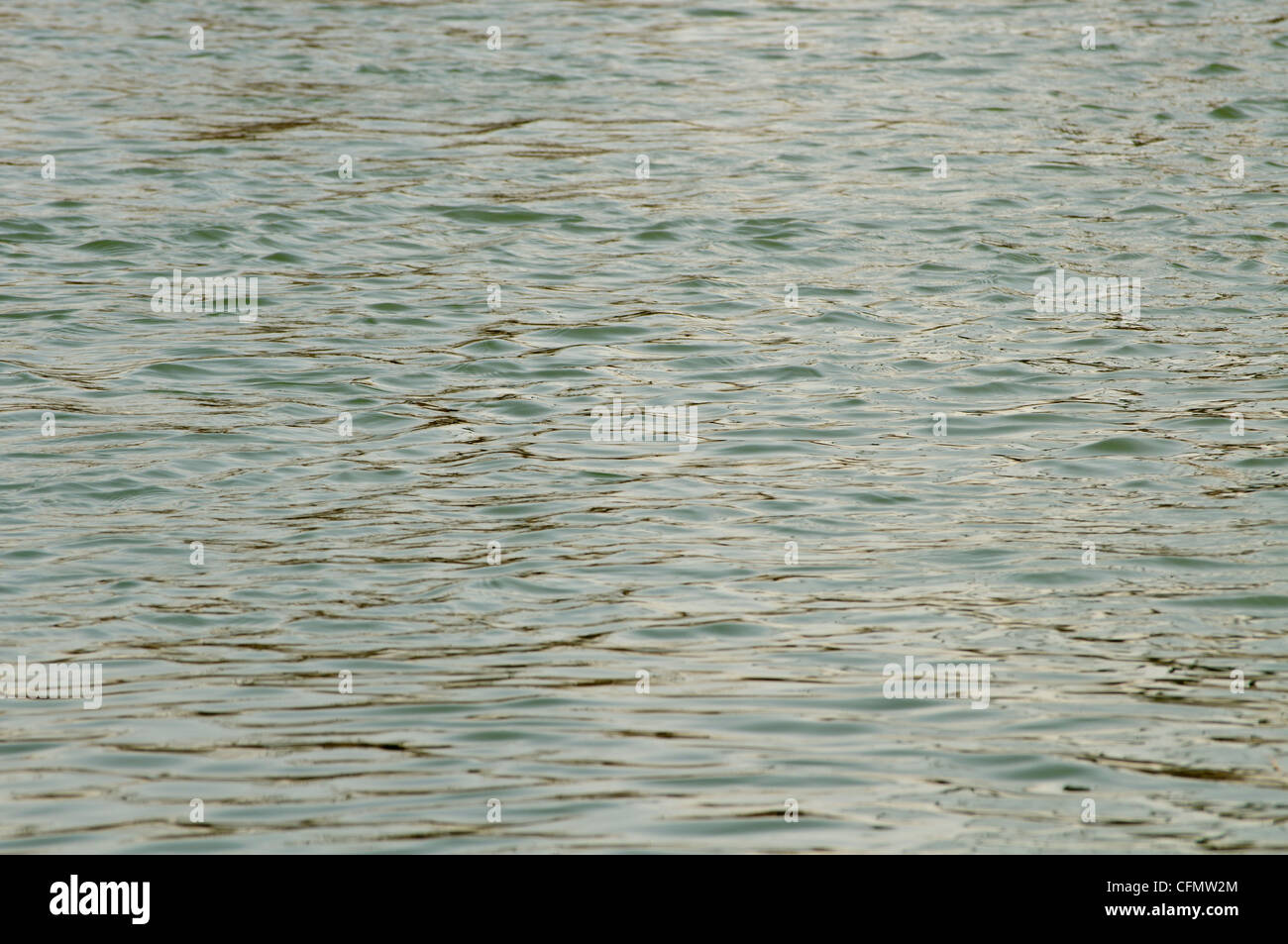 Surface of river hi-res stock photography and images - Alamy