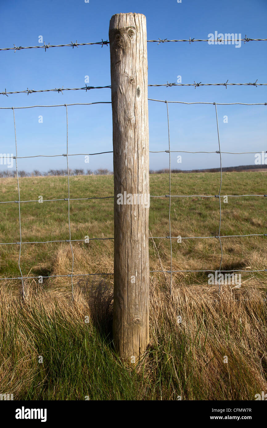 Fence Post with Barbed Wire Stock Photo - Alamy