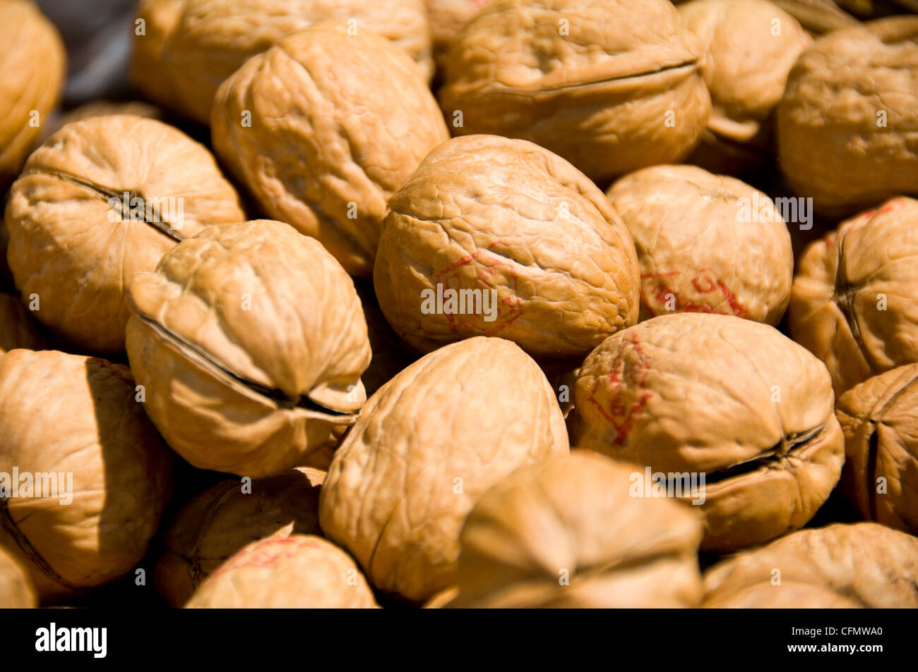 Horizontal close up of walnuts in their shells Stock Photo - Alamy