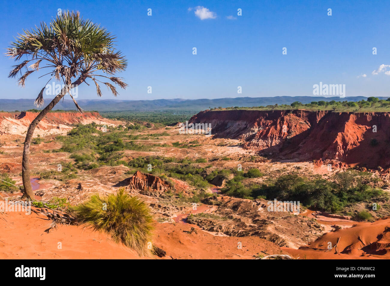 The canyon of the Red tsingy of Antsiranana (Diego Suarez), Madagascar ...