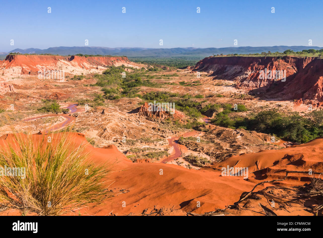 The canyon of the Red tsingy of Antsiranana (Diego Suarez), Madagascar ...