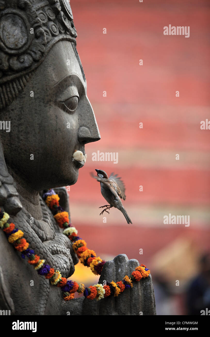 Garuda statue and feeding sparrow at Durbar Square in Kathmandu Nepal ...