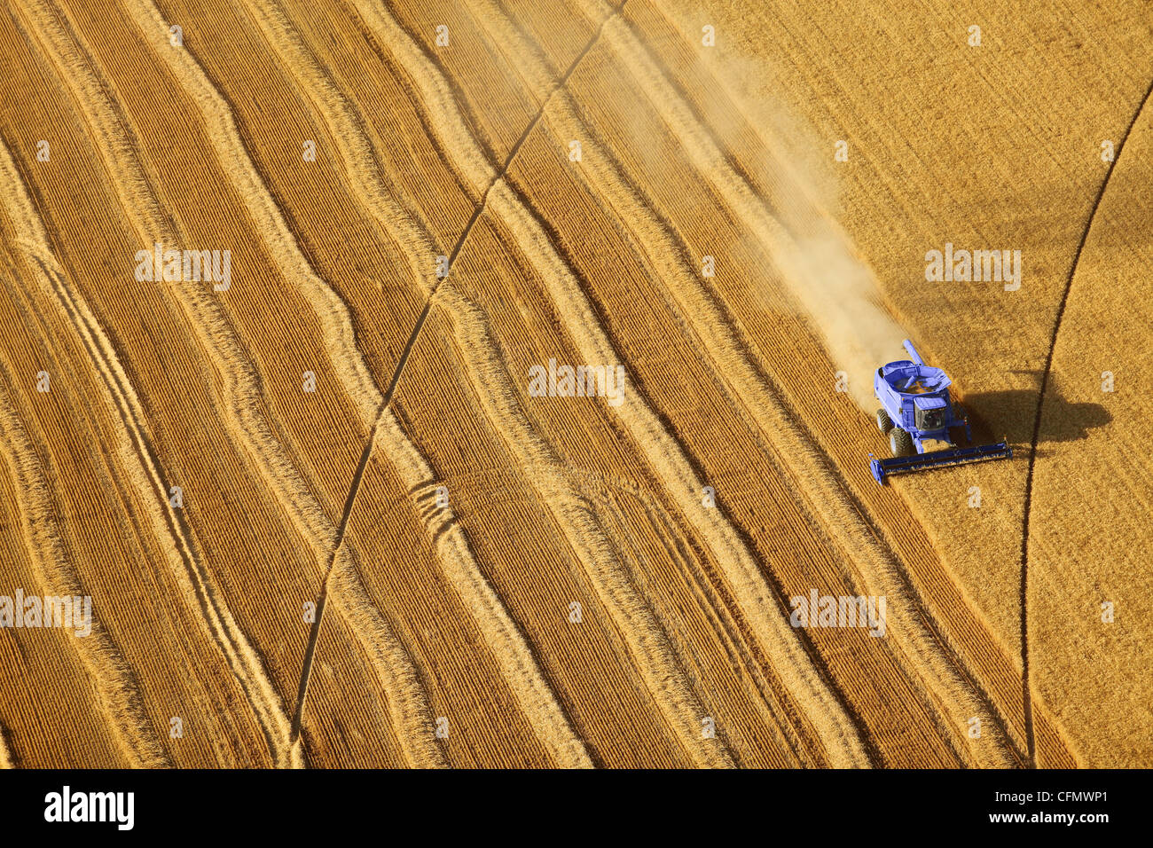 Wheat Field Aerial