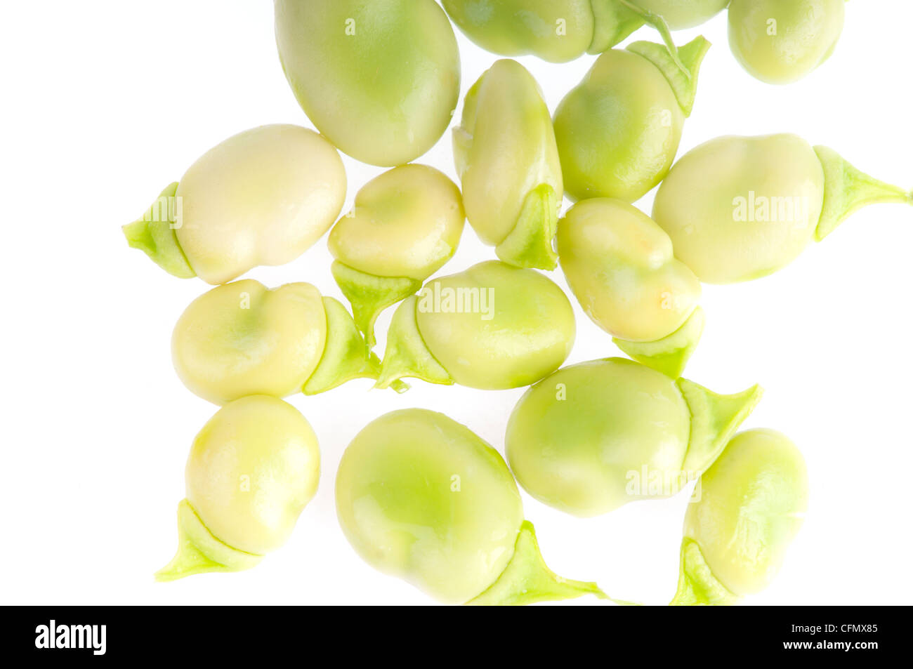 Young, tender broad beans isolated on white Stock Photo - Alamy