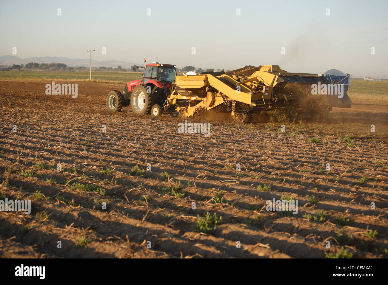 Potato harvesting machine hi-res stock photography and images - Alamy