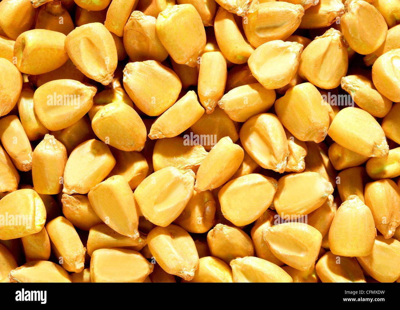 Sweet corn kernels background Stock Photo - Alamy