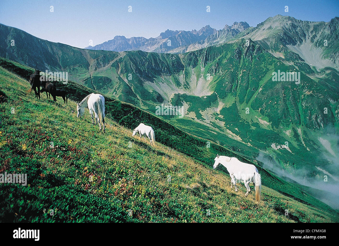 Pontic alps hi-res stock photography and images - Alamy