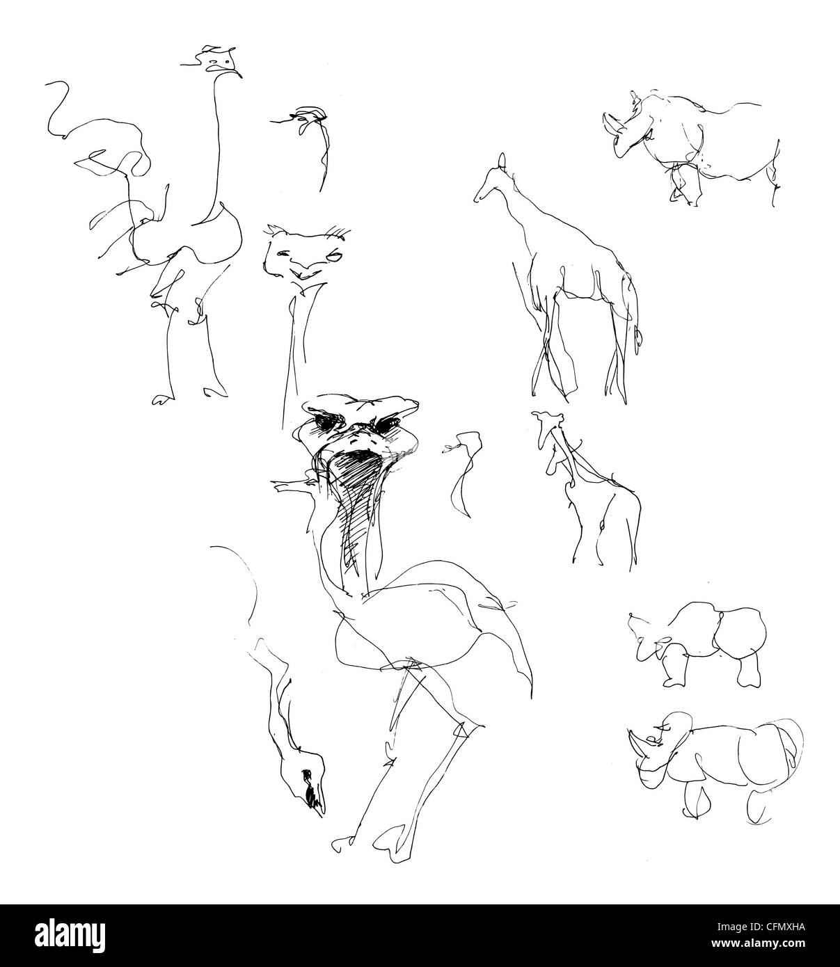 A series of 17 informal hand drawn sketches/doodles, to use as ...