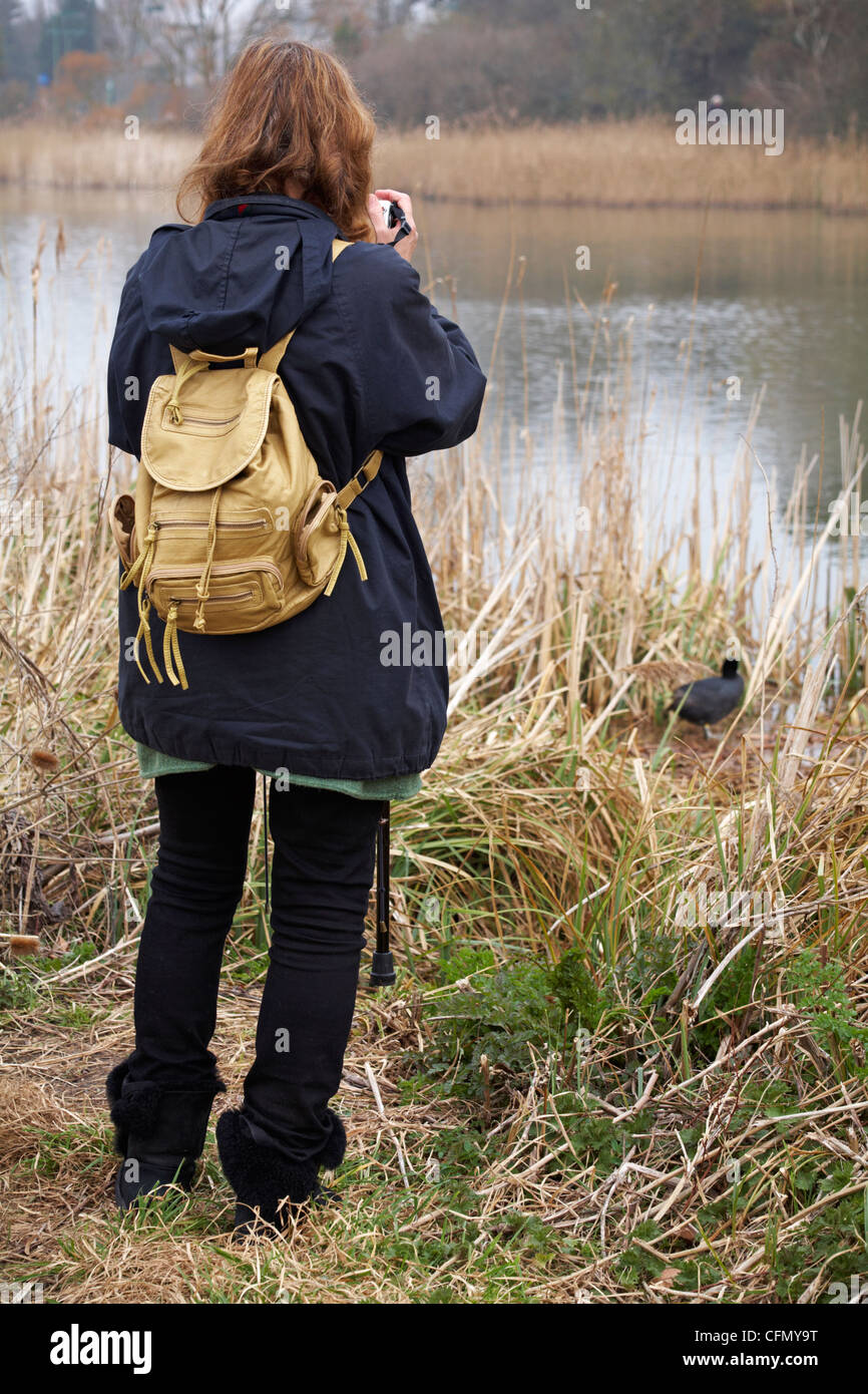 woman photographer photographing the wildlife at Radipole Lake RSPB ...