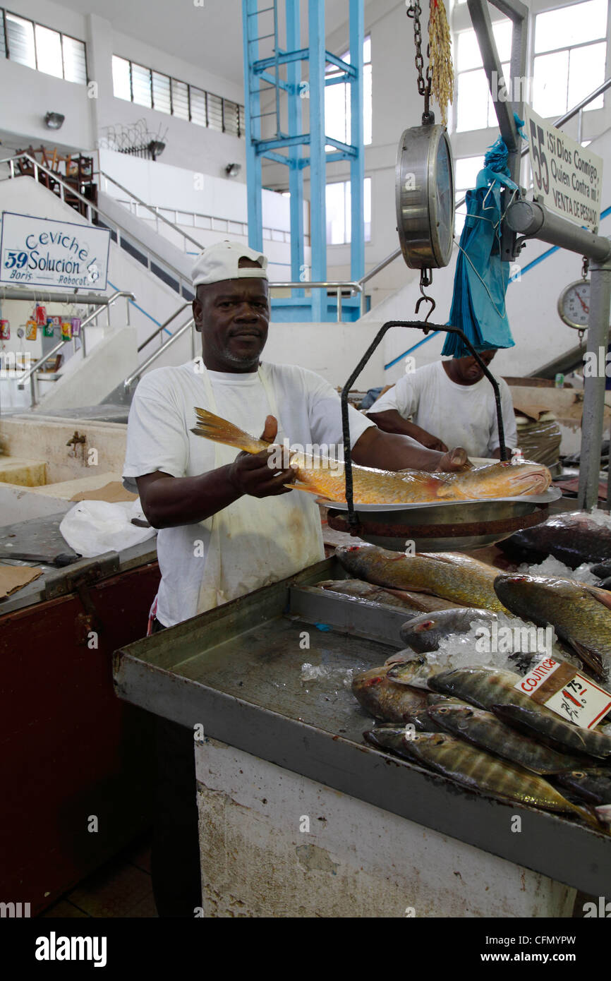 Panama fresh fish market hi-res stock photography and images - Alamy