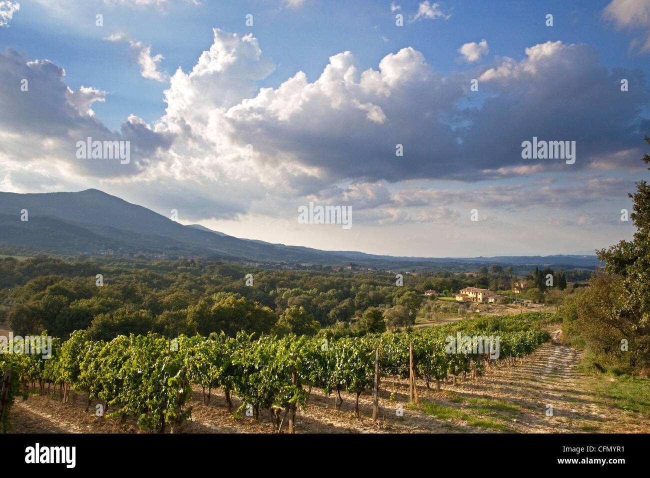 Monte cetona hi-res stock photography and images - Alamy