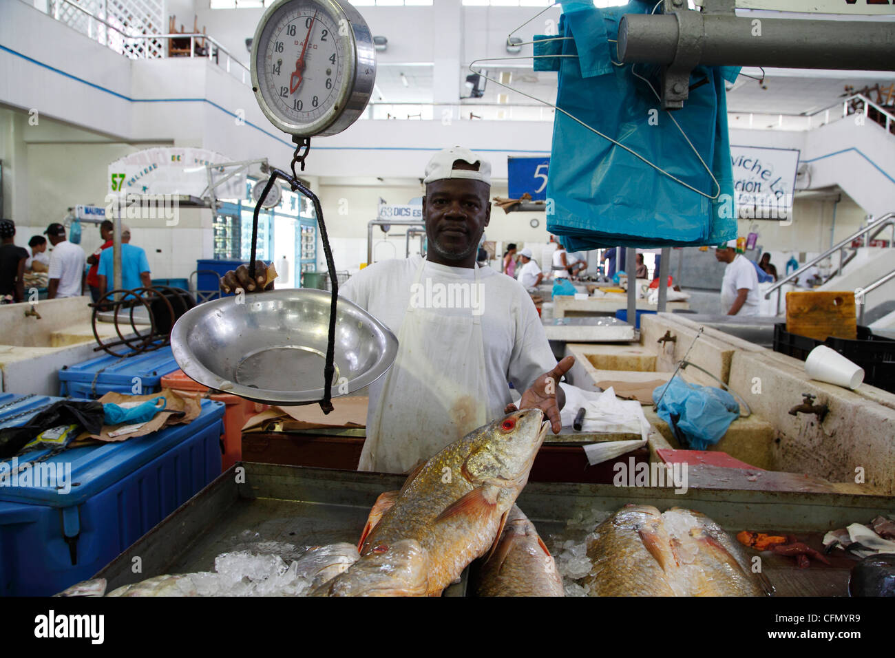 Fishmonger At The Fresh Fish Market In Panama City, Panama Stock Photo ...