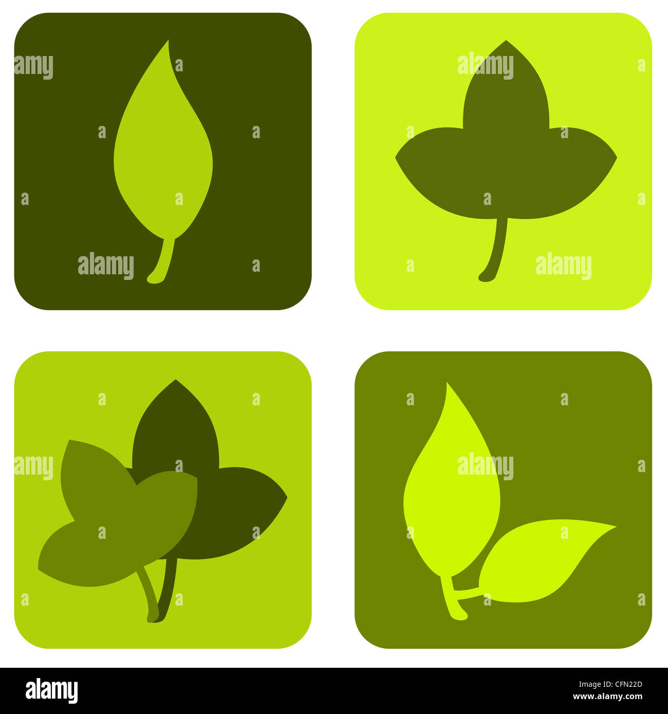 Green leaves spring design set Stock Photo - Alamy