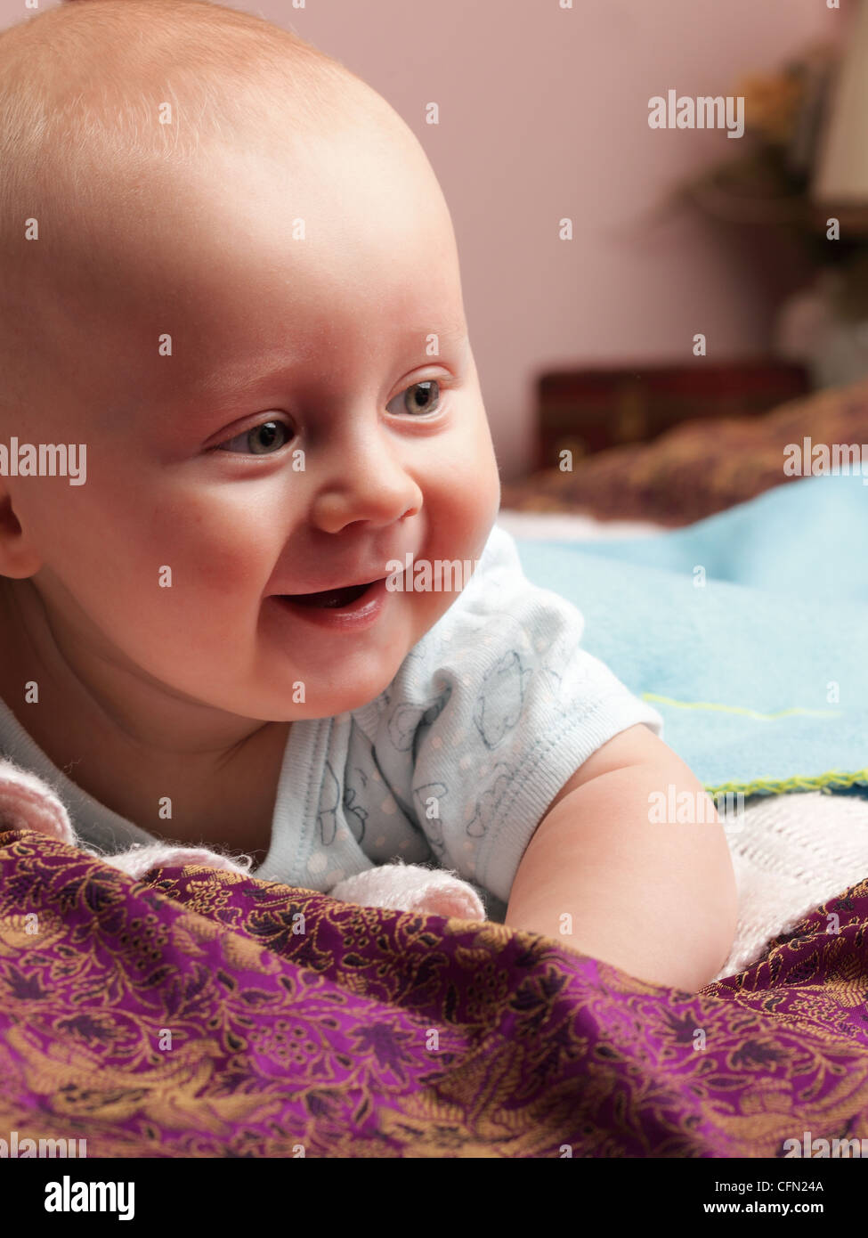 portrait of 6 months male child baby boy in blue eye Stock Photo - Alamy
