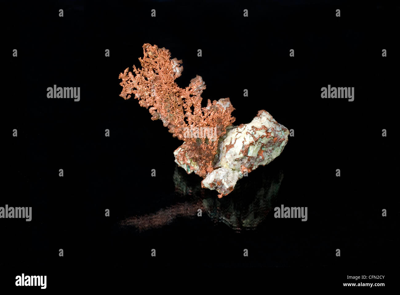 Copper and gold leaf hi-res stock photography and images - Alamy