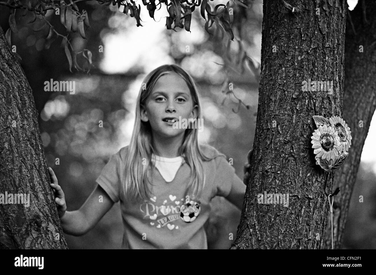 Young Girl in Tree Stock Photo - Alamy