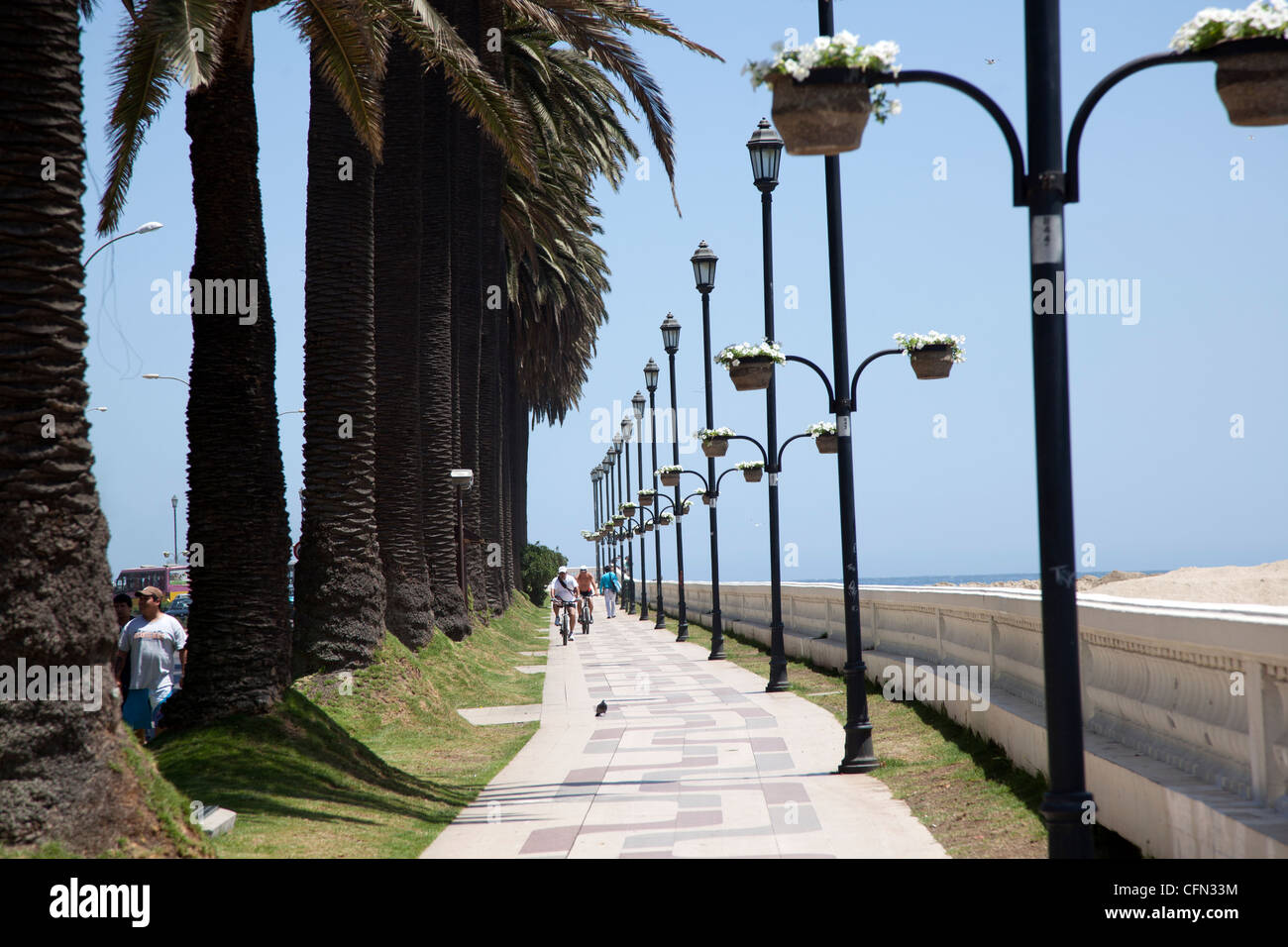 Viña del Mar, a popular resort area on Chile's Central Coast, near ...