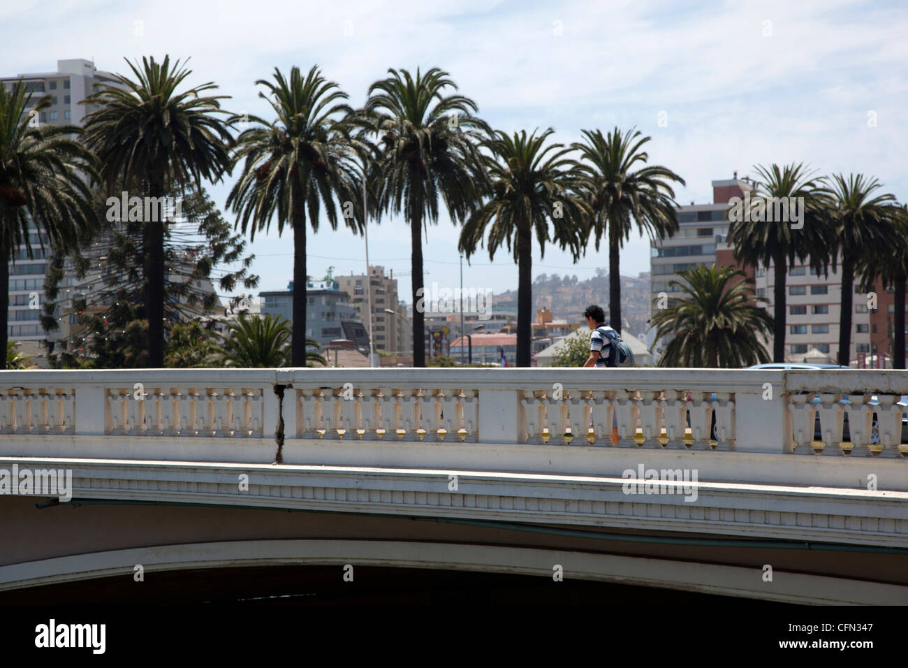 Viña del Mar, a popular resort area on Chile's Central Coast, near ...