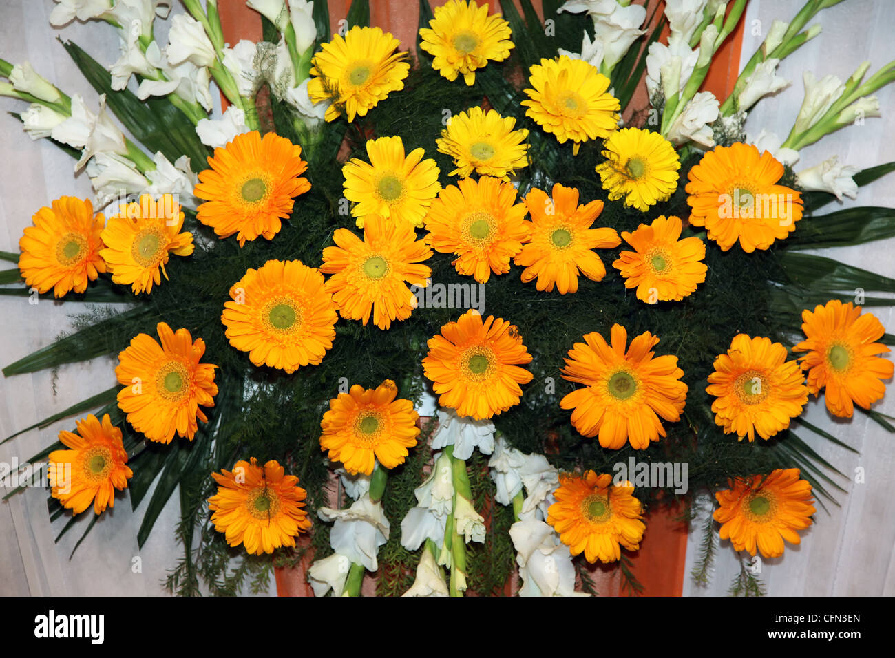 Yellow Flower Bookie, Background, Yellow Flower Pattern, Nature Stock ...