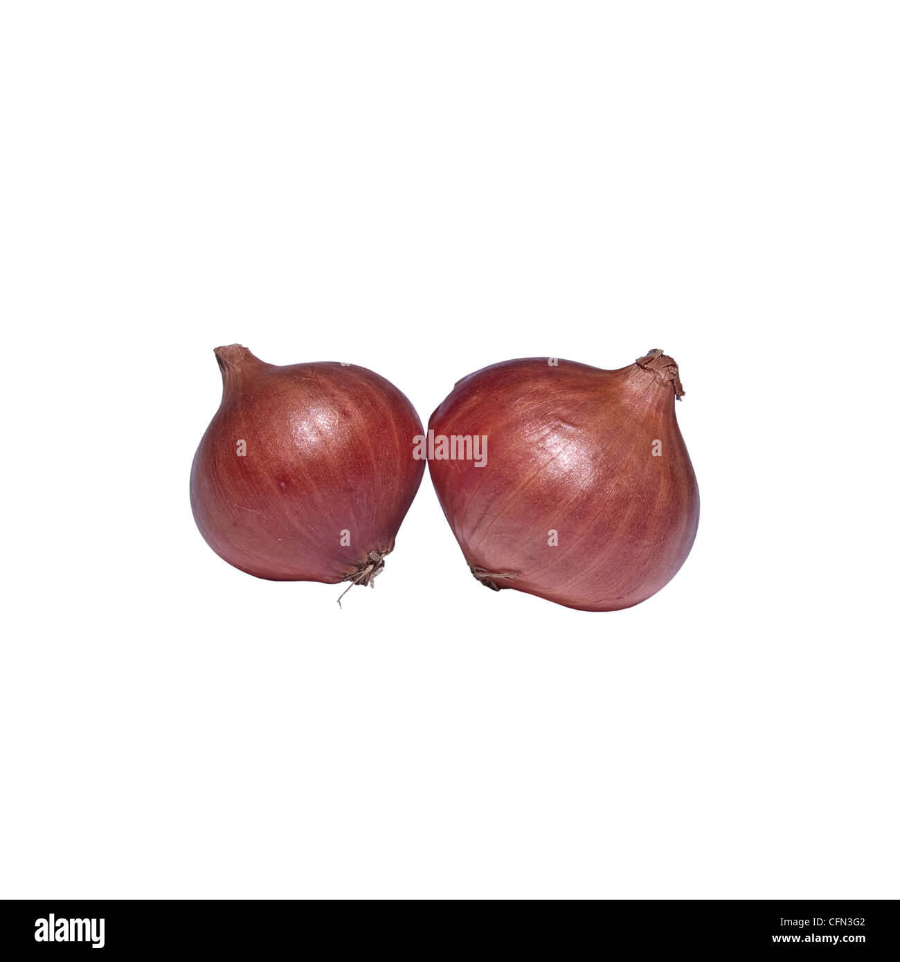 Fresh small red scallions on white background Stock Photo - Alamy