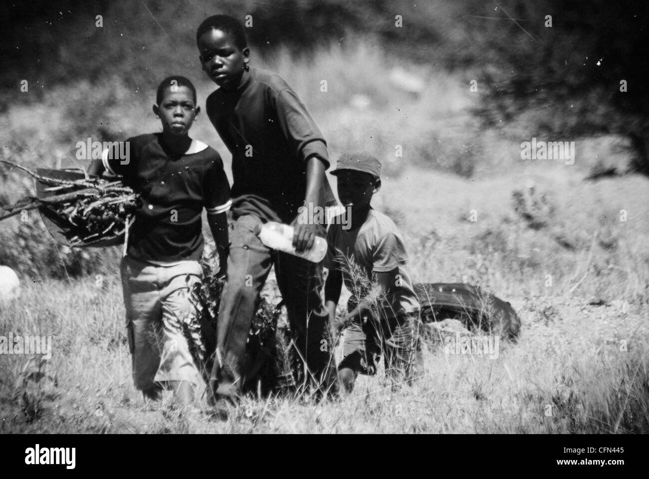 Gathering firewood hi-res stock photography and images - Alamy