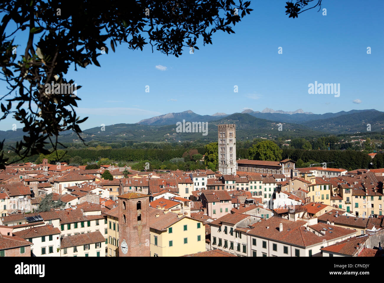 Lucca tower trees hi-res stock photography and images - Alamy