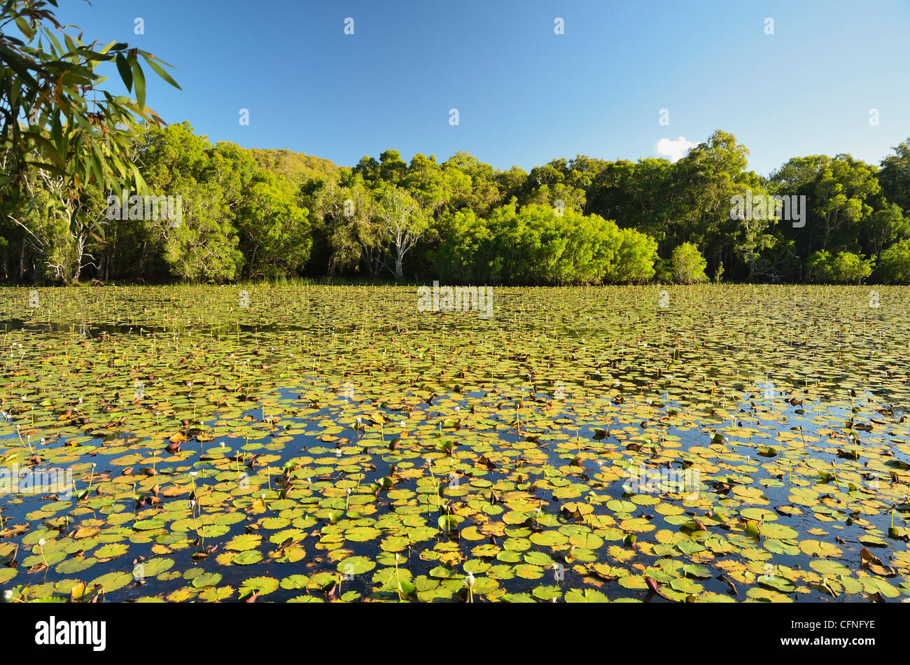 Cooktown hi-res stock photography and images - Alamy