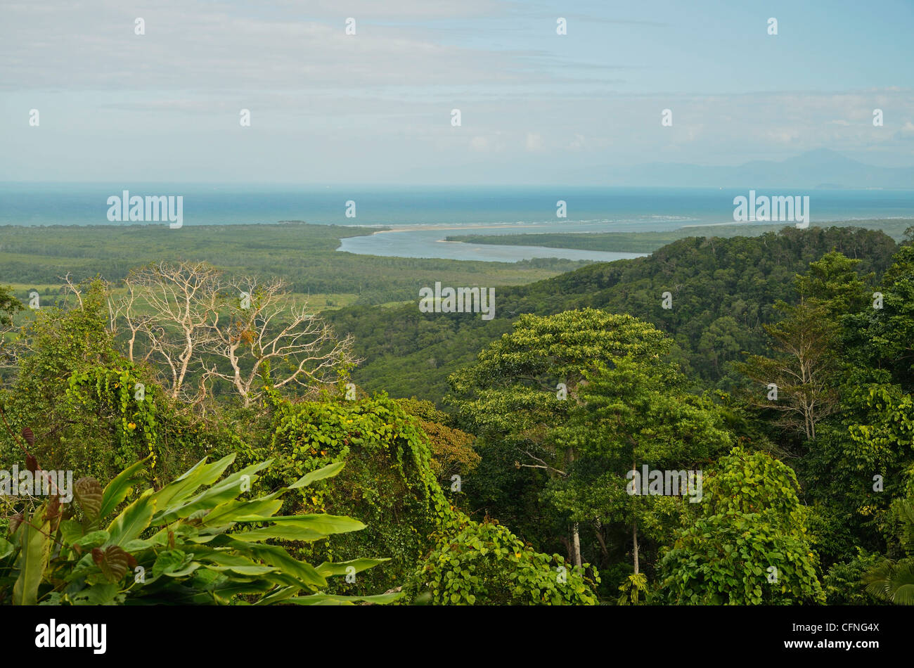 View of Mount Alexandra and Coral Sea, Daintree National Park, UNESCO ...