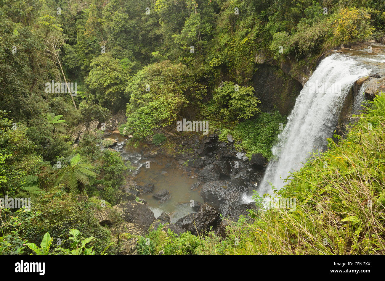 Zillie Falls, Atherton Tableland, Queensland, Australia, Pacific Stock ...