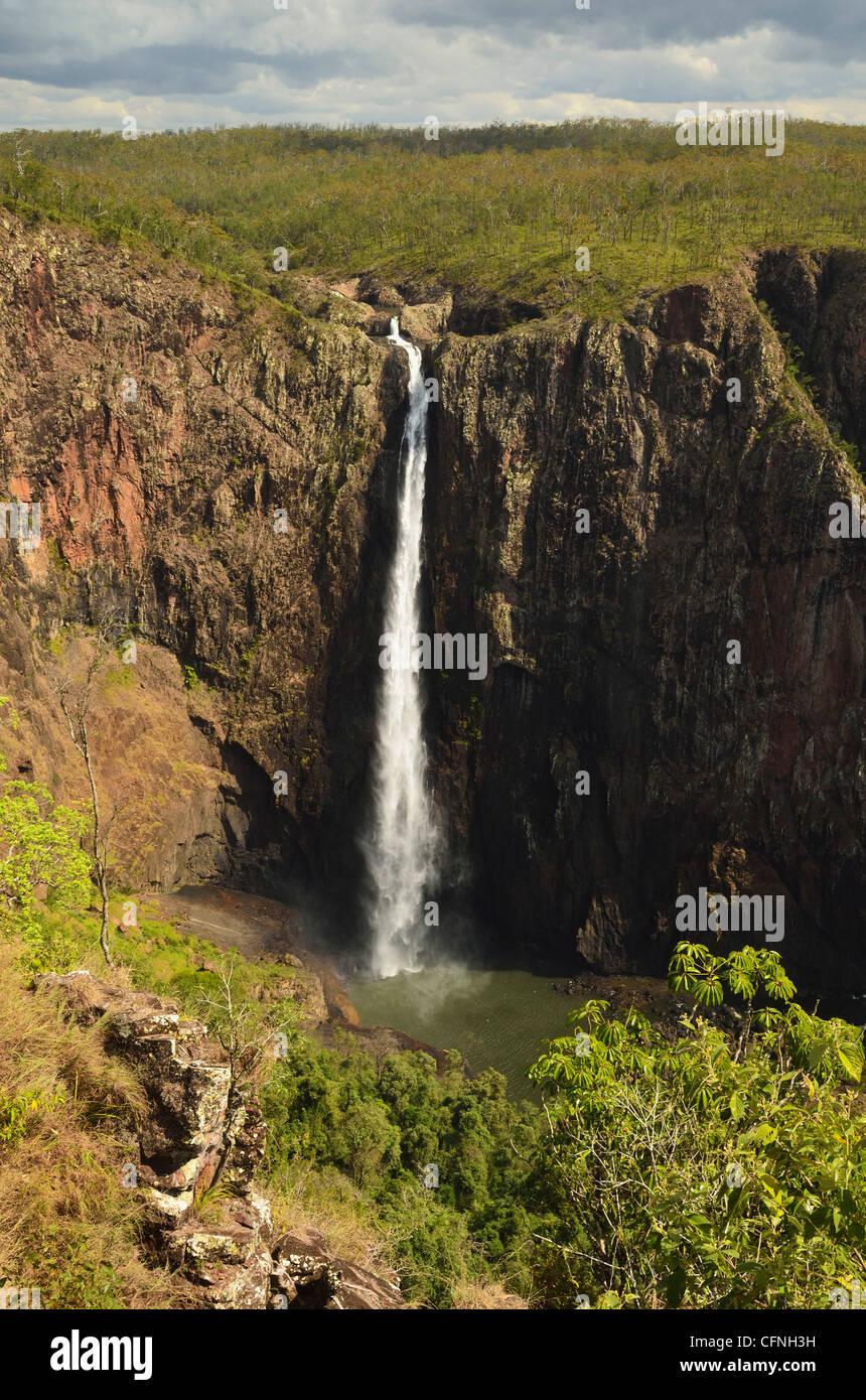 Wallaman Falls, Australia's highest waterfalls, Queensland, Australia, Pacific Stock Photo - Alamy