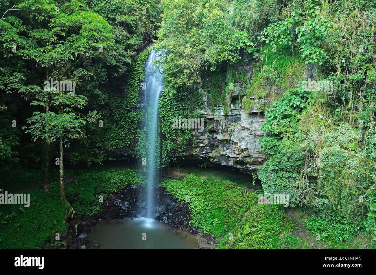 Crystal Shower Falls, Dorrigo National Park, New South Wales, Australia ...