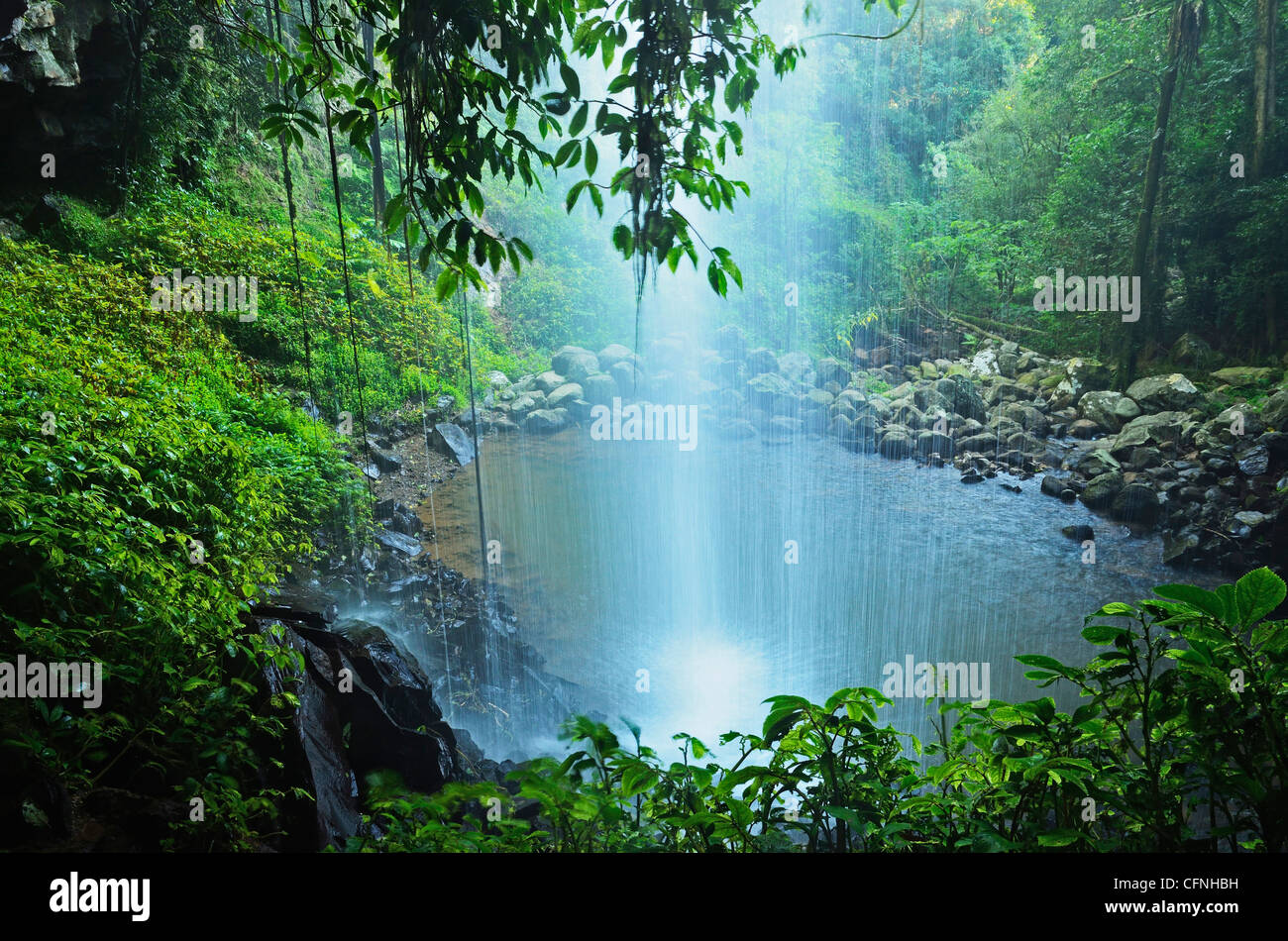 Crystal Shower Falls, Dorrigo National Park, New South Wales, Australia ...