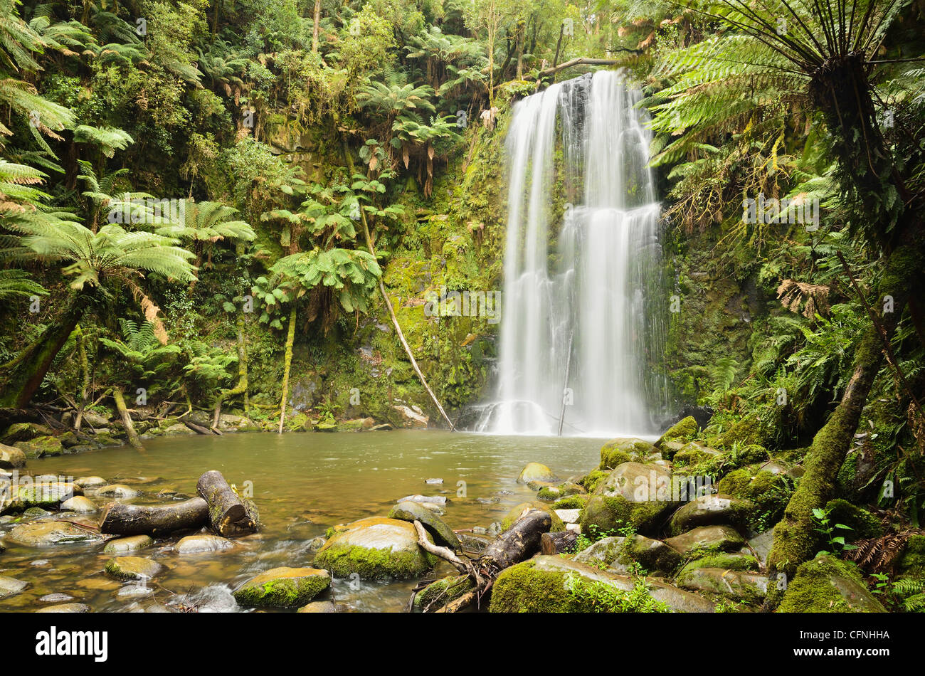 Beauchamp Falls, Great Otway National Park, Victoria, Australia, Pacific Stock Photo - Alamy