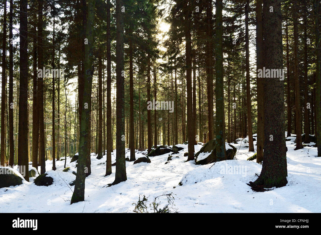 Furtwangen hi-res stock photography and images - Alamy