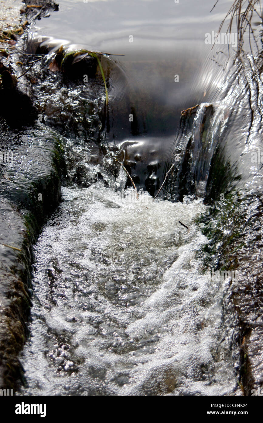 A small brook gently flowing Stock Photo - Alamy